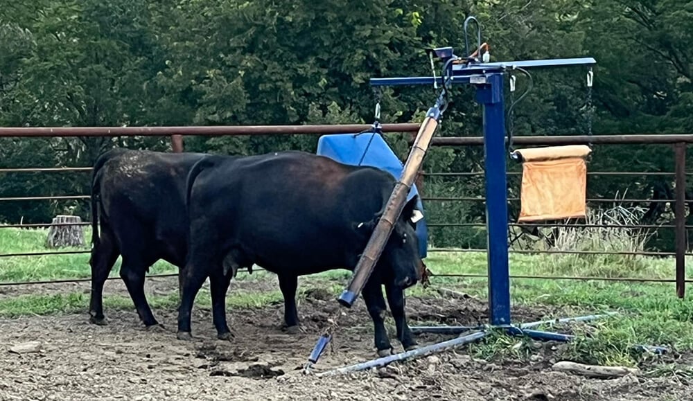 Gartner Livestock Equipment | MN | Nationwide Delivery